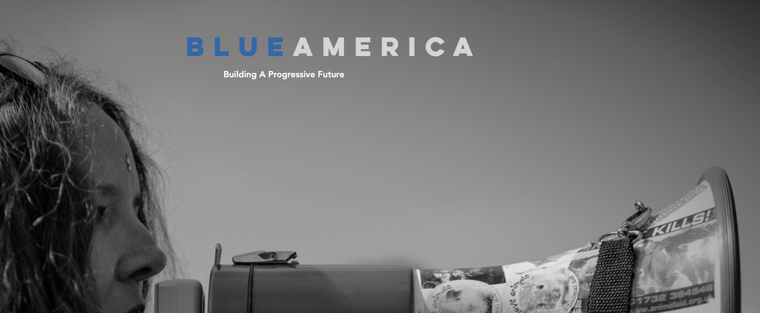 We Can’t Leave ‘Flipping Congress’ To The DCCC – Blue America