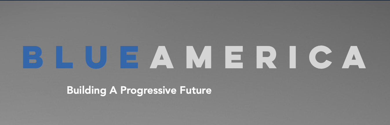 2024 Was A Very Tough Year – Blue America